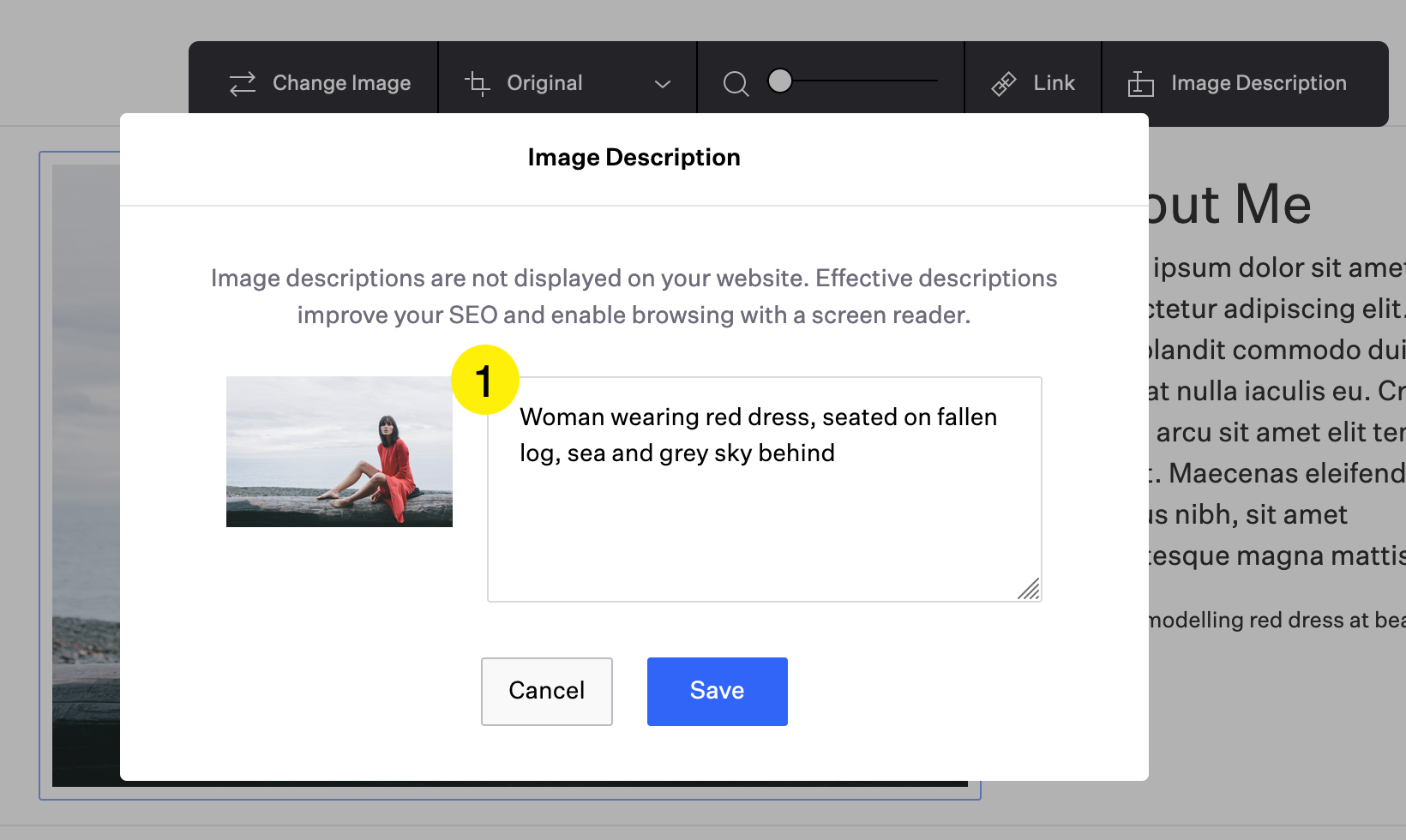 Adding Image Descriptions to images – Format Help Desk