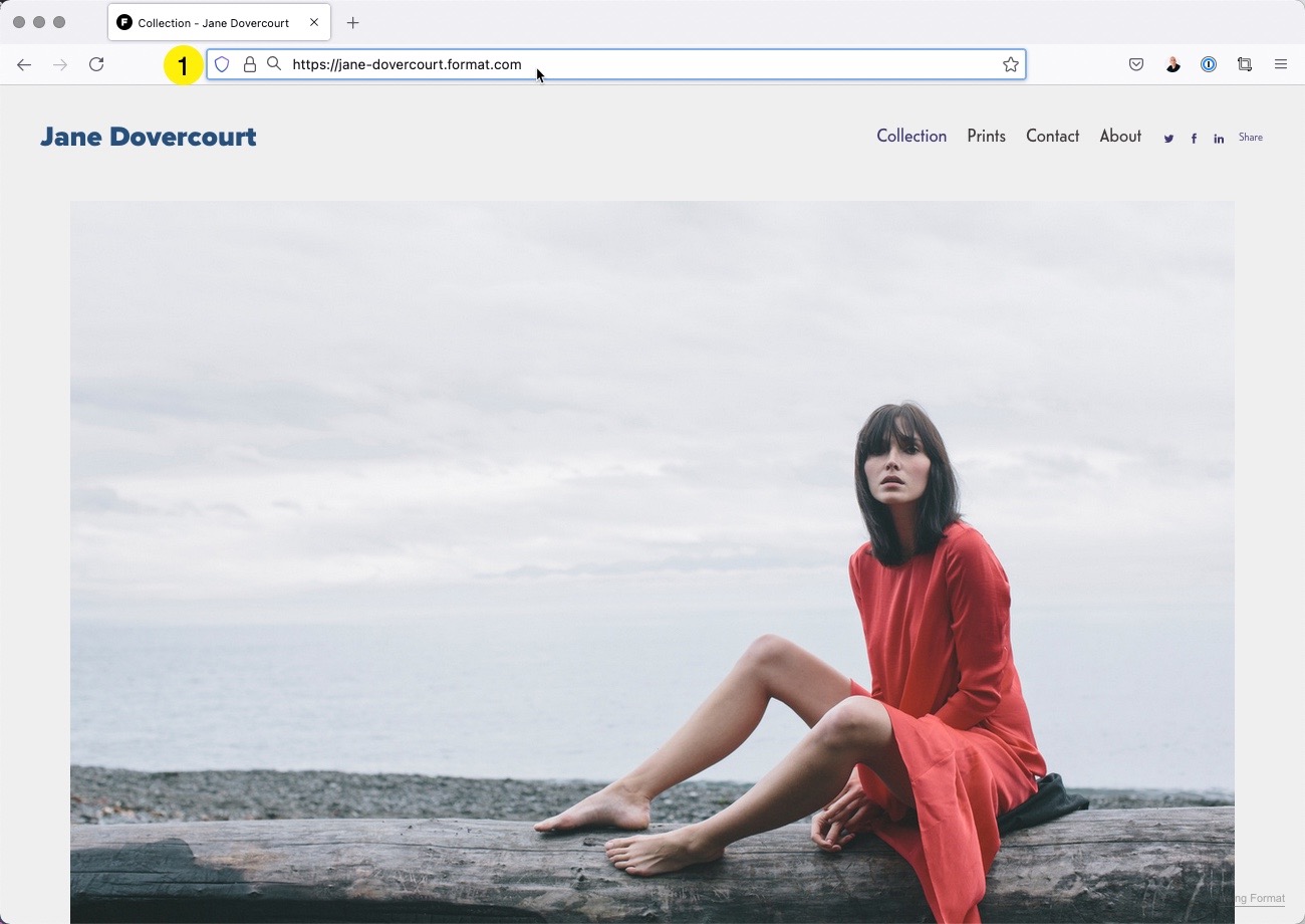 How to publish your website – Format Help Desk