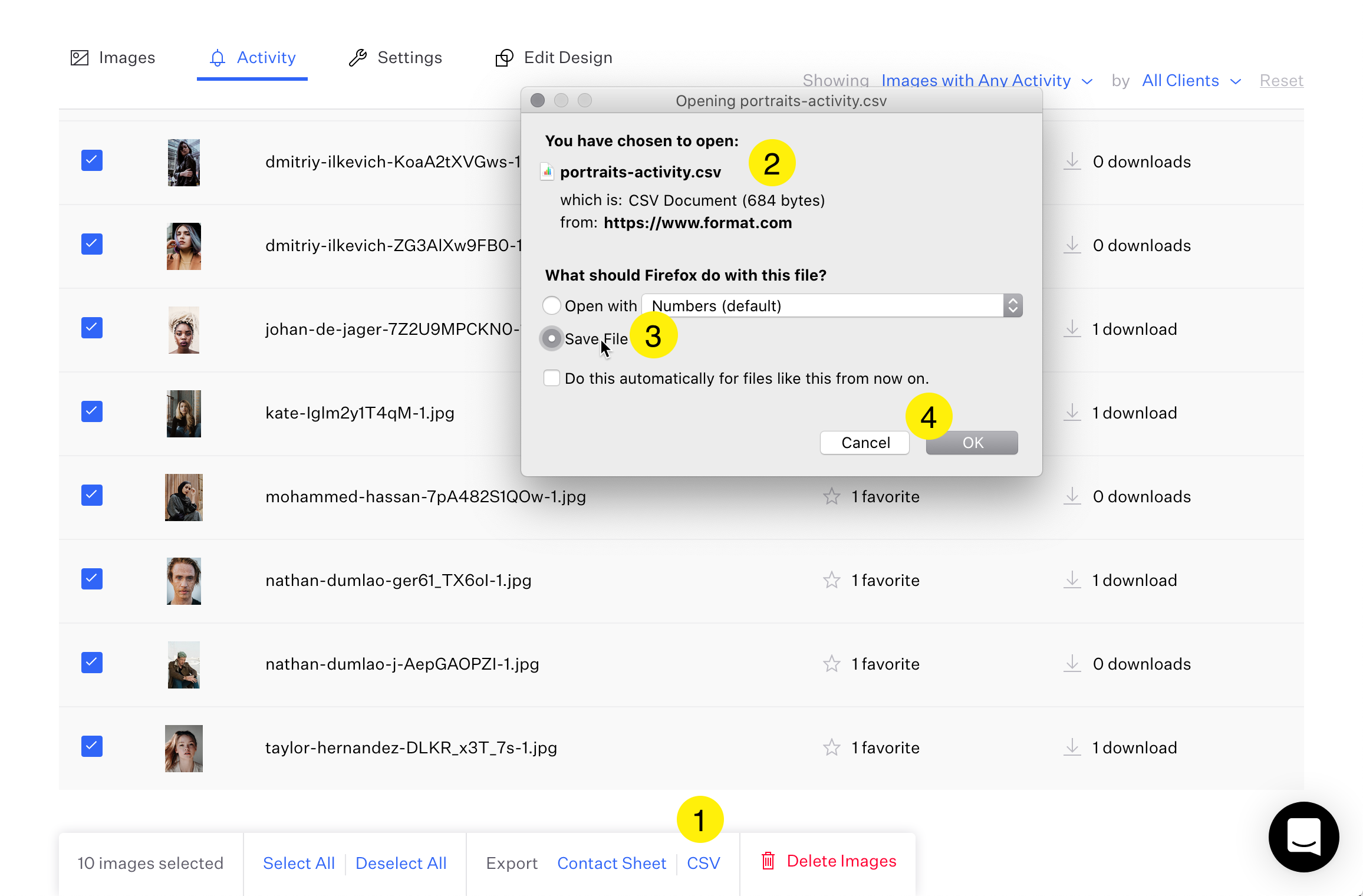 Client Galleries Activity download CSV file – Format Help Desk