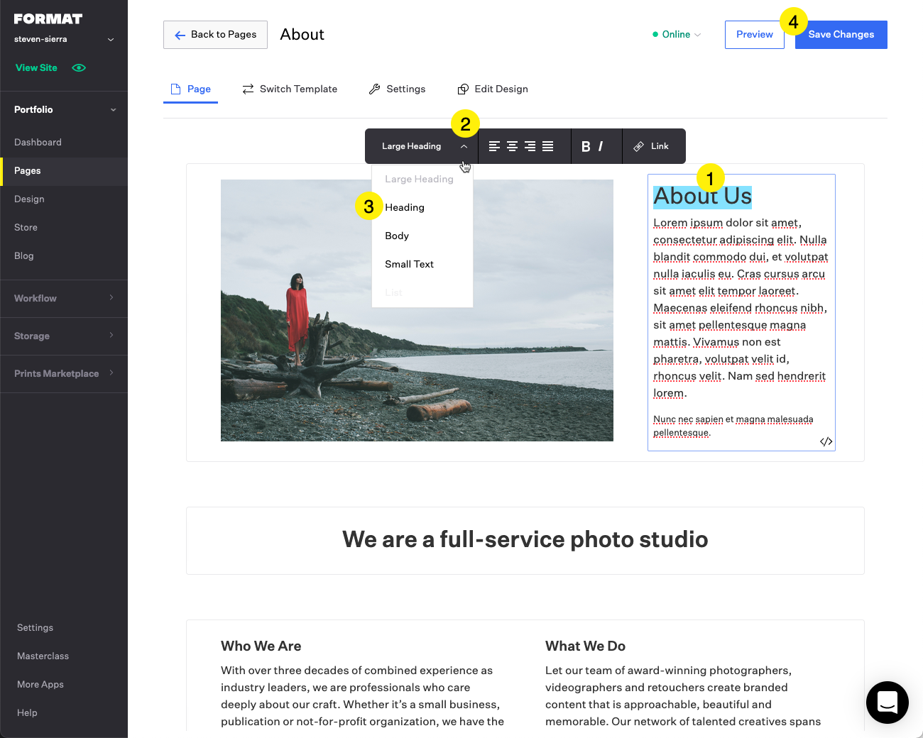 Changing fonts, sizes and colors on Custom Pages – Format Help Desk