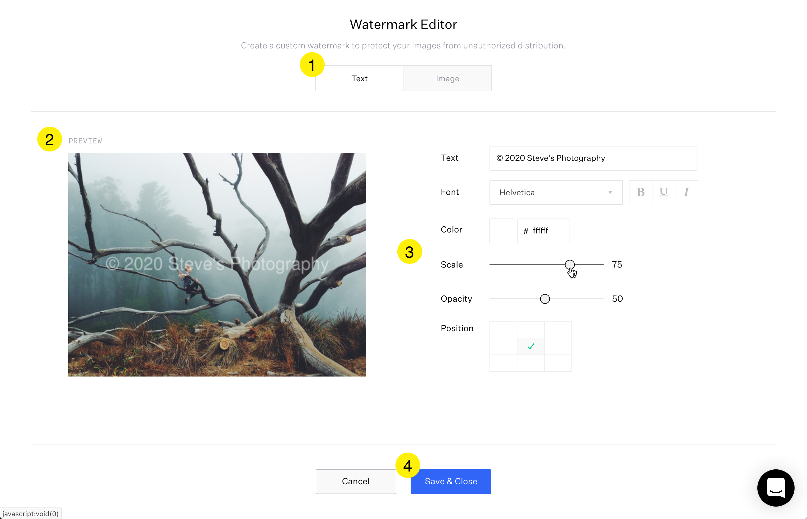 Watermark Editor – Format Help Desk