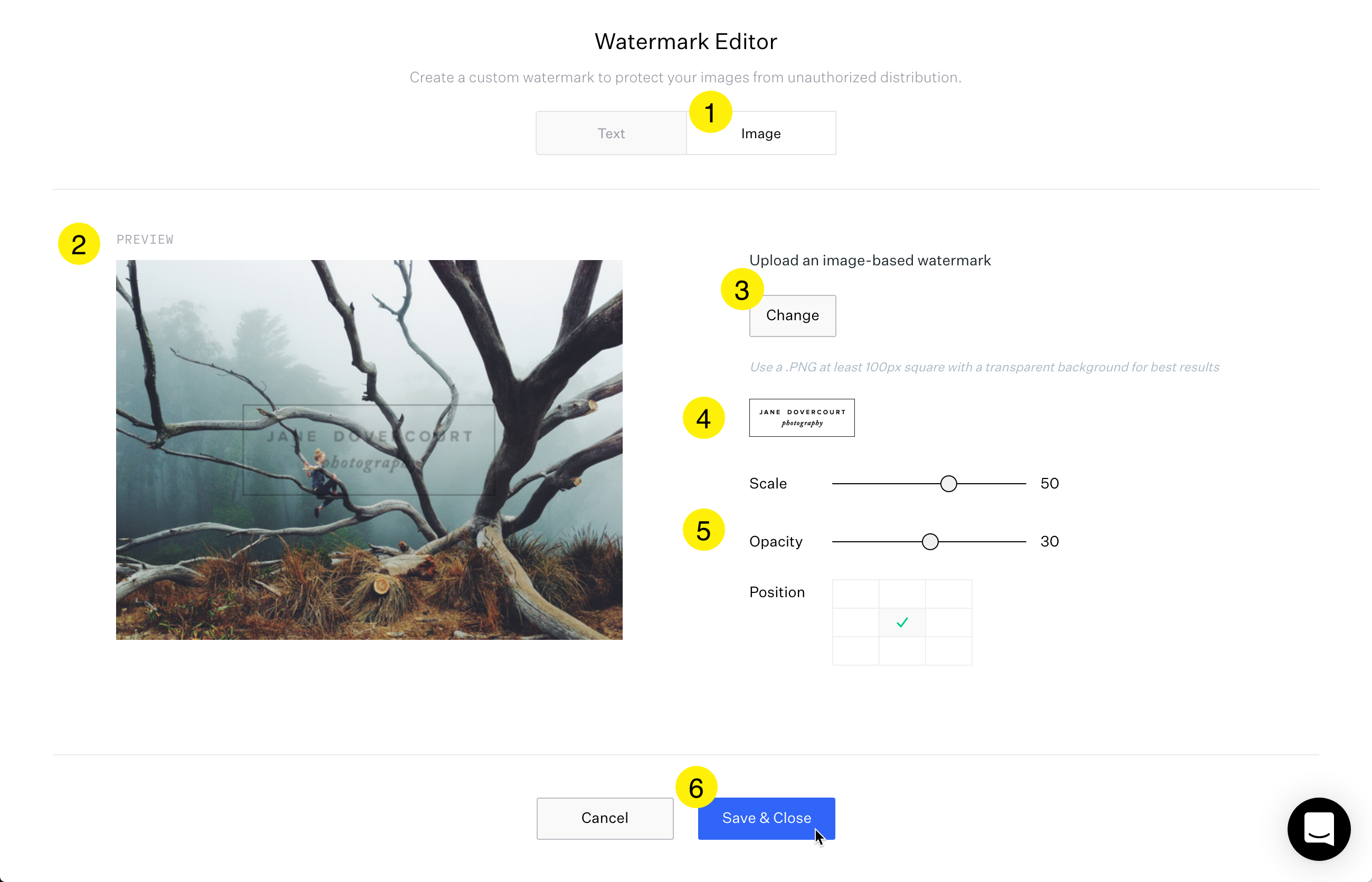 Watermark Editor – Format Help Desk
