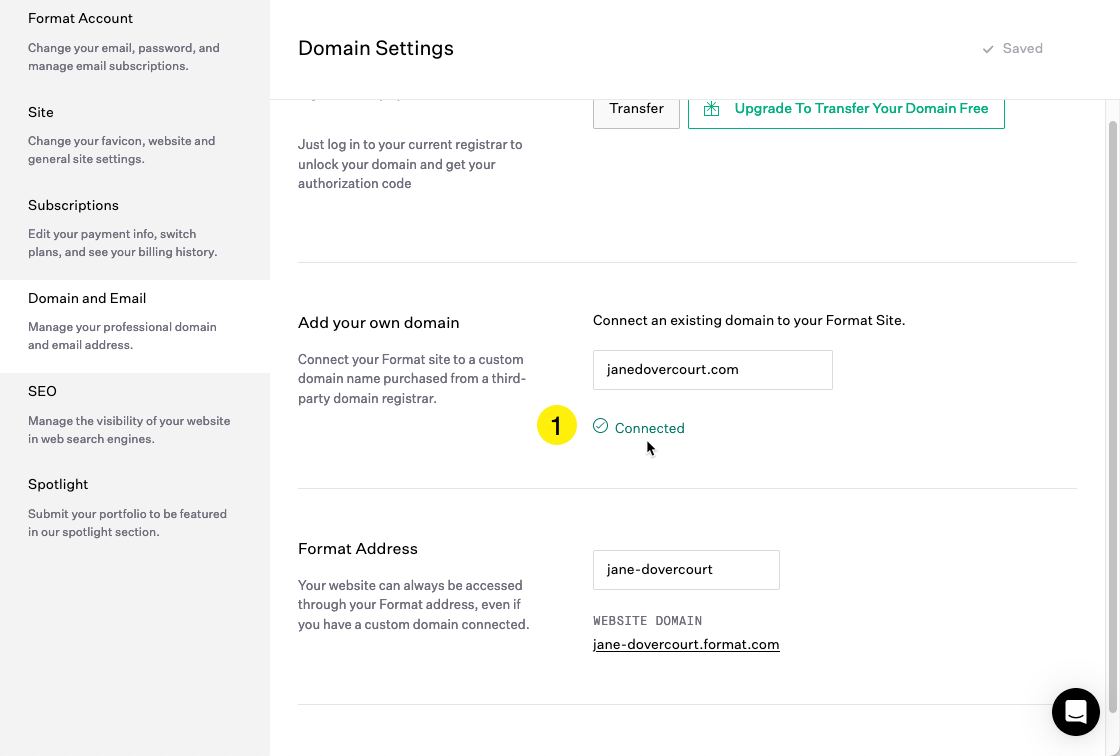 Connect your Domain.com custom domain name – Format Help Desk